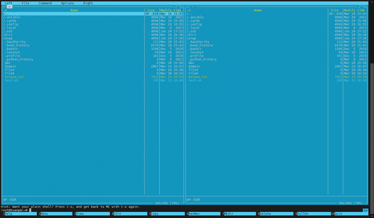 Cơ bản làm việc với file trong Linux - Hướng dẫn TENTEN