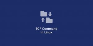 Cách sử dụng lệnh SCP trong Linux - Hướng dẫn TENTEN