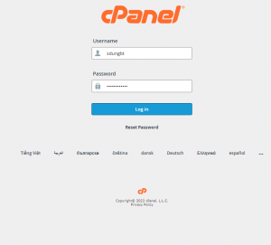 Hướng dẫn đăng nhập cPanel nhanh chóng - Hướng dẫn TENTEN