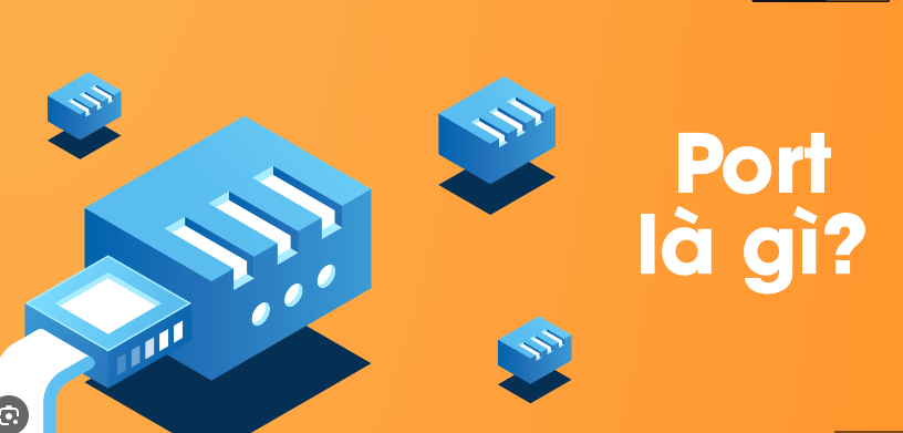 Port là gì? Các dang port thông dụng trong không gian mạng hiện nay ...